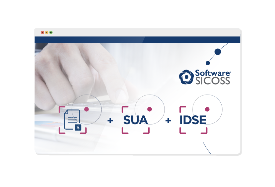 Presentación Comercial Software SICOSS